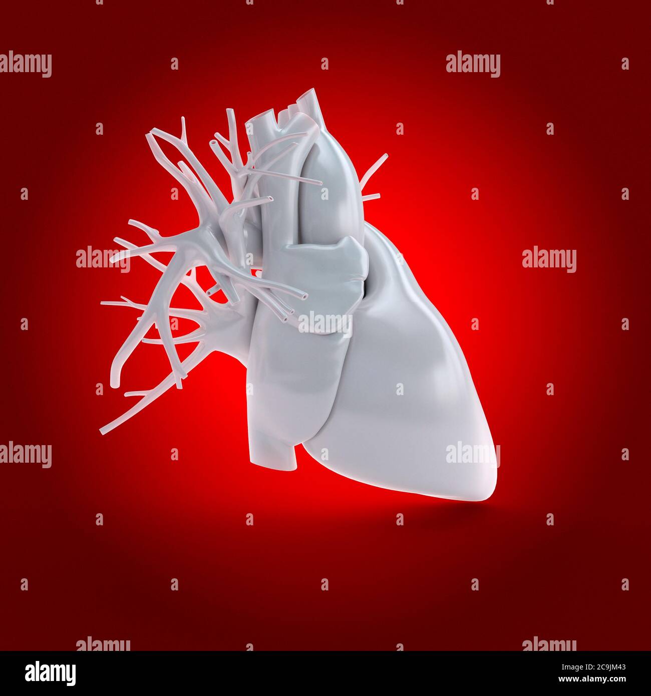 Human heart, computer illustration Stock Photo - Alamy