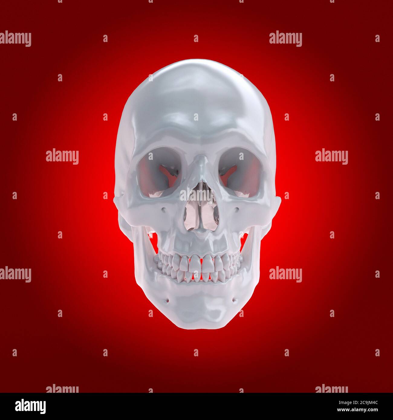 Human skull, computer illustration Stock Photo - Alamy