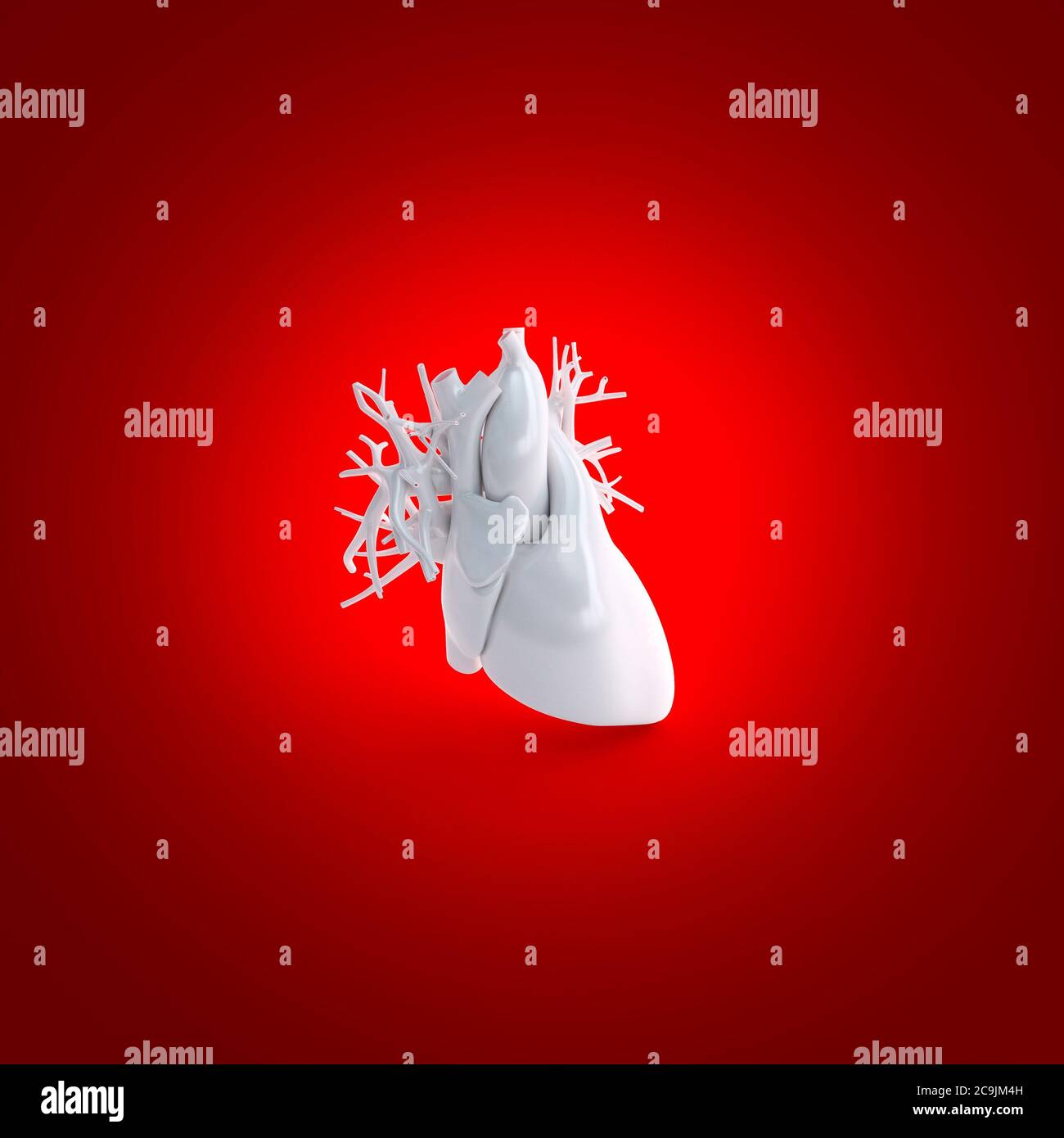 Human heart, computer illustration Stock Photo - Alamy