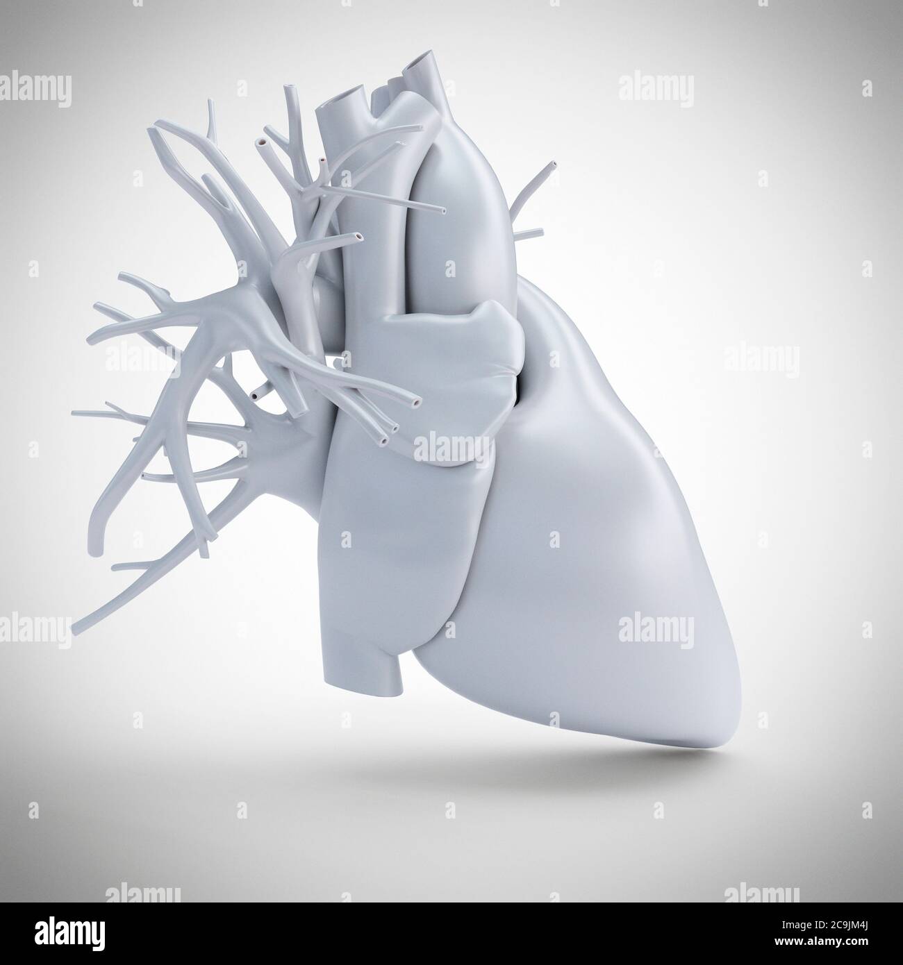 Human heart, computer illustration Stock Photo - Alamy