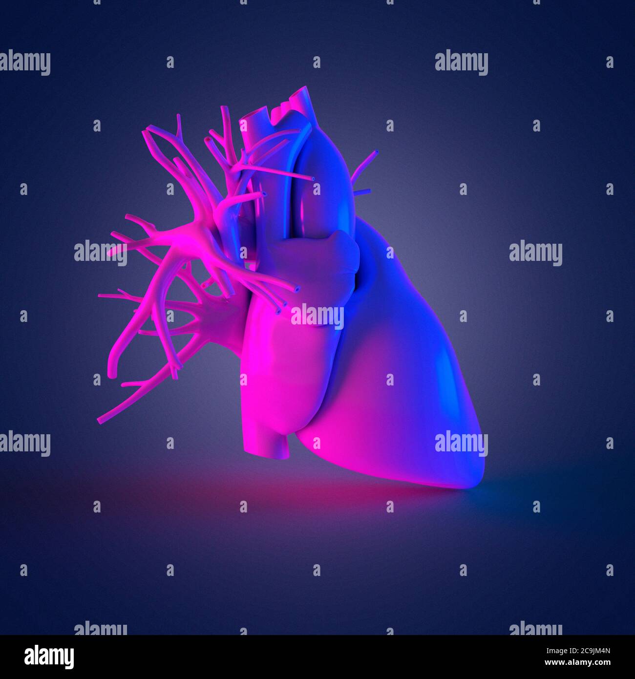 Human heart, computer illustration Stock Photo - Alamy