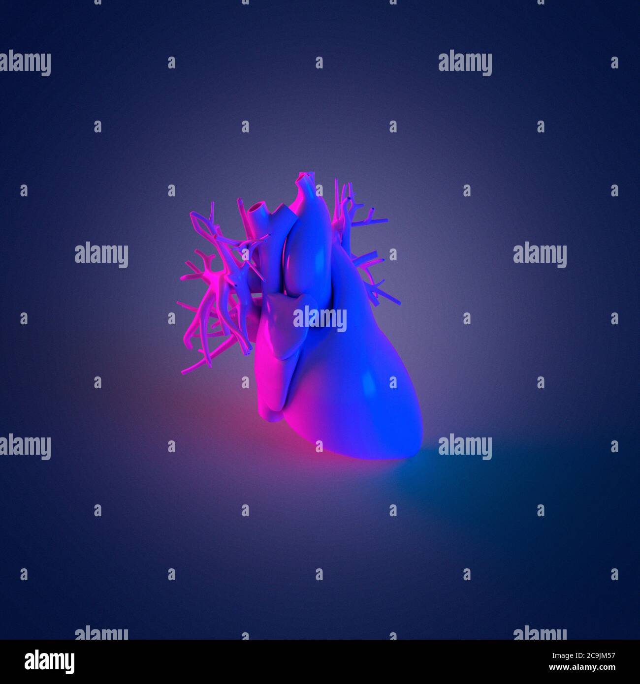 Human heart, computer illustration Stock Photo - Alamy