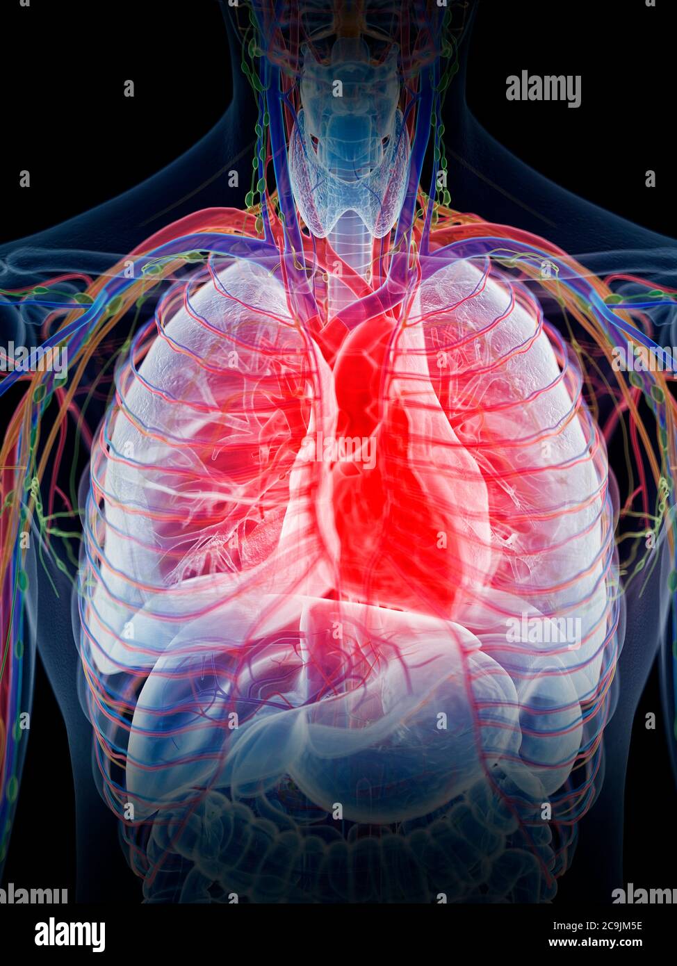 Blood vessel inflamed hi-res stock photography and images - Alamy