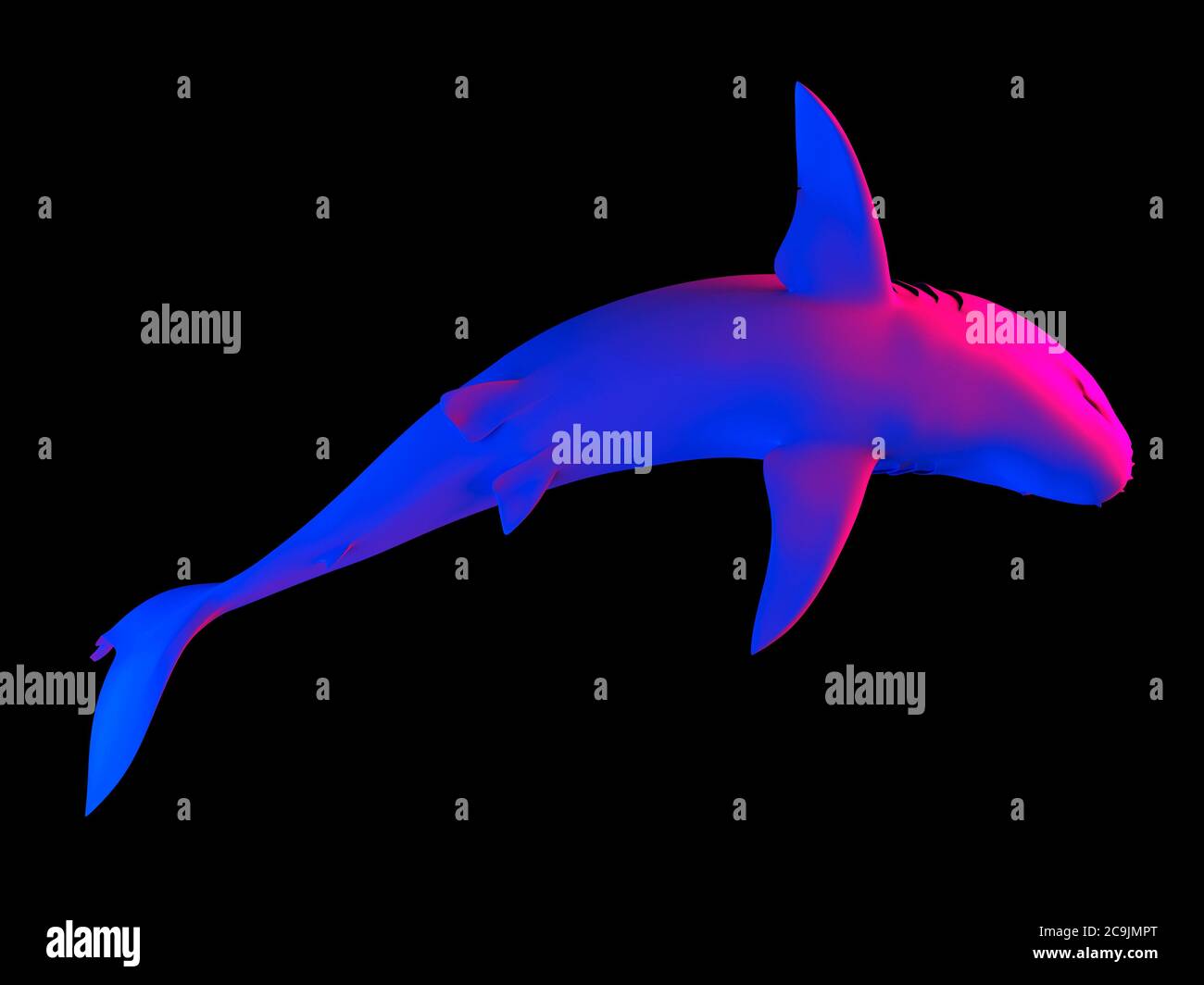 Shark, computer illustration Stock Photo - Alamy
