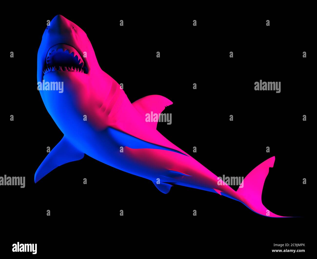 Shark, computer illustration Stock Photo - Alamy