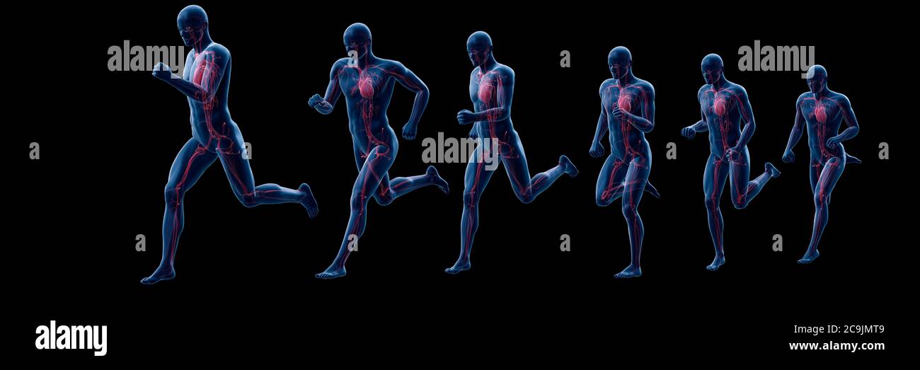 Runner's heart, computer illustration Stock Photo - Alamy