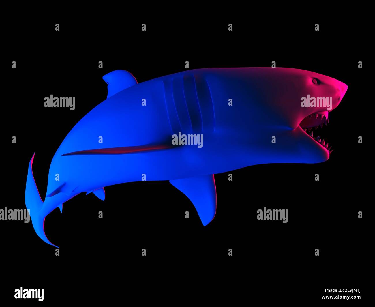 Shark, computer illustration Stock Photo - Alamy