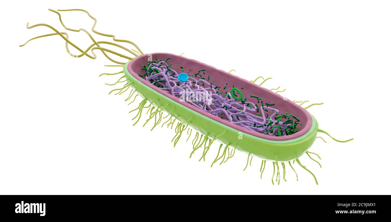 Chromosome computer Cut Out Stock Images & Pictures - Alamy