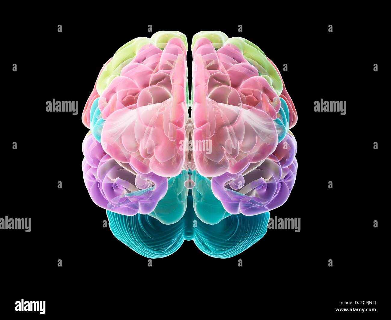 Human brain, computer illustration Stock Photo - Alamy