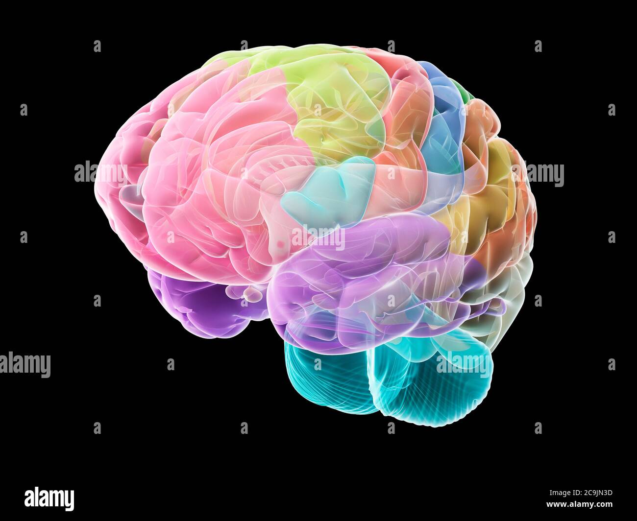 Human brain, computer illustration Stock Photo - Alamy