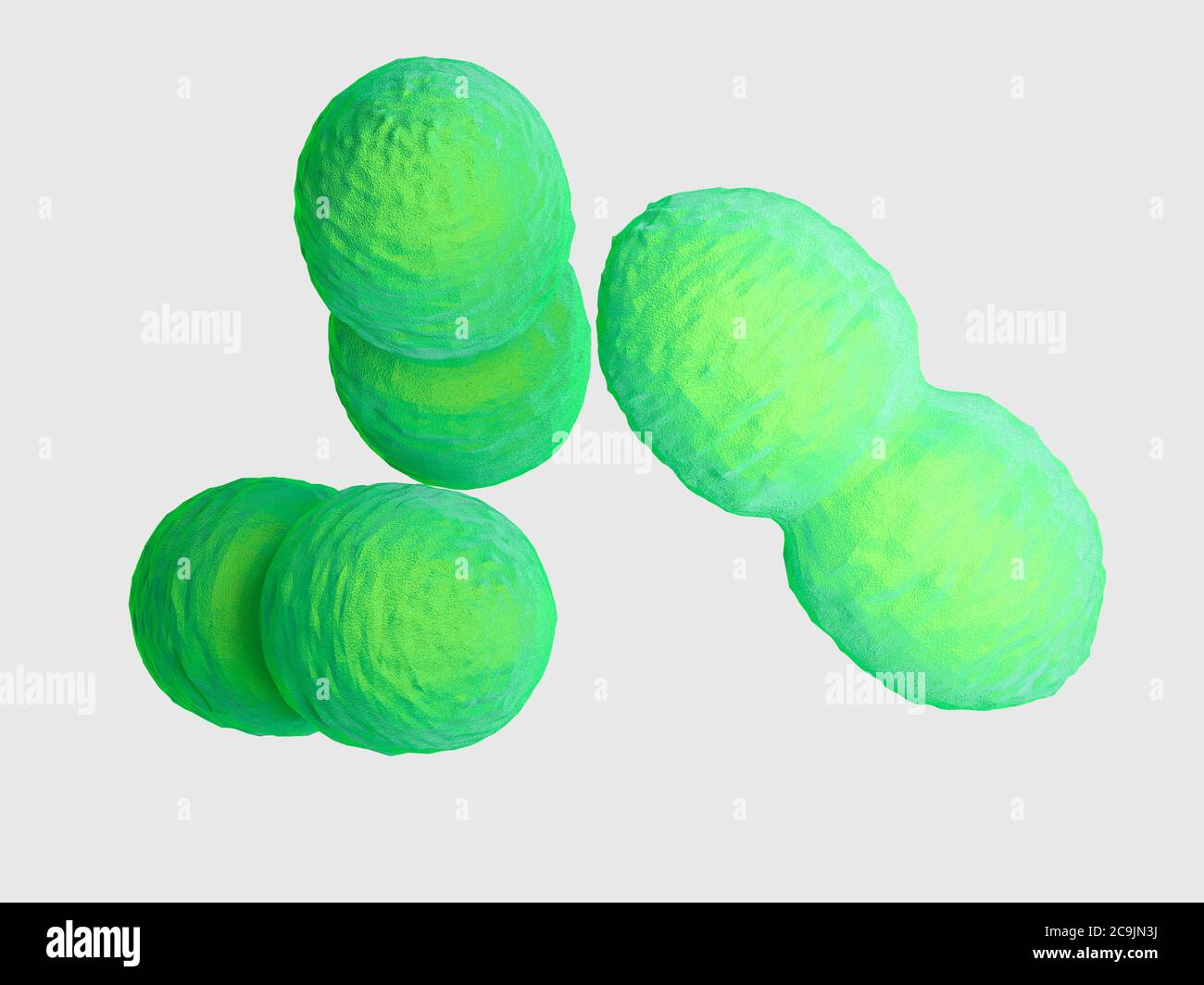 Enterococcus faecalis hi-res stock photography and images - Alamy