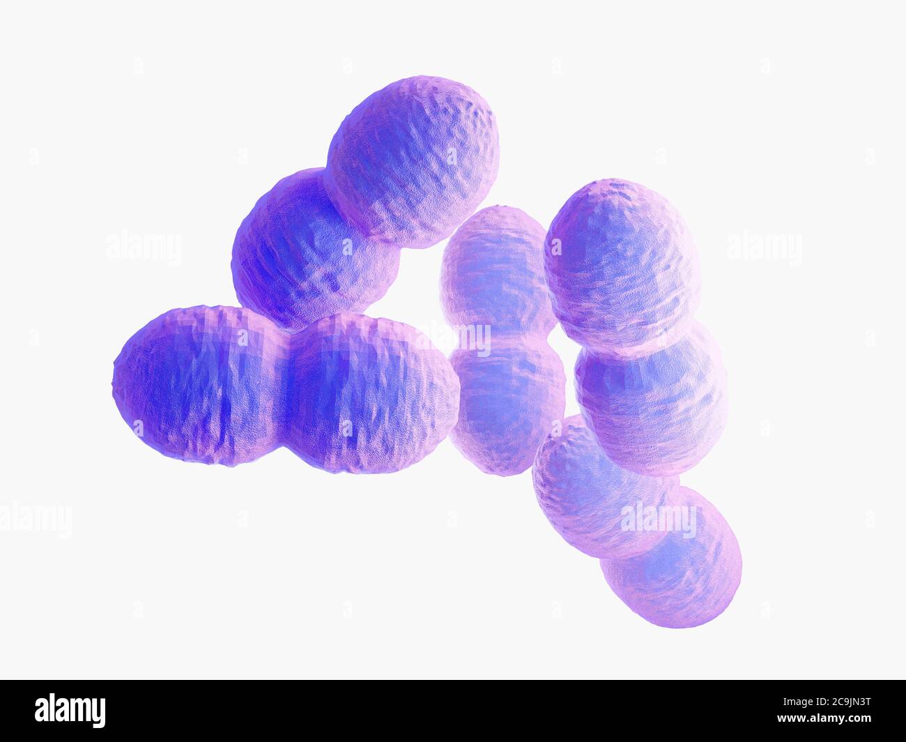 Enterococcus bacteria, computer illustration Stock Photo - Alamy