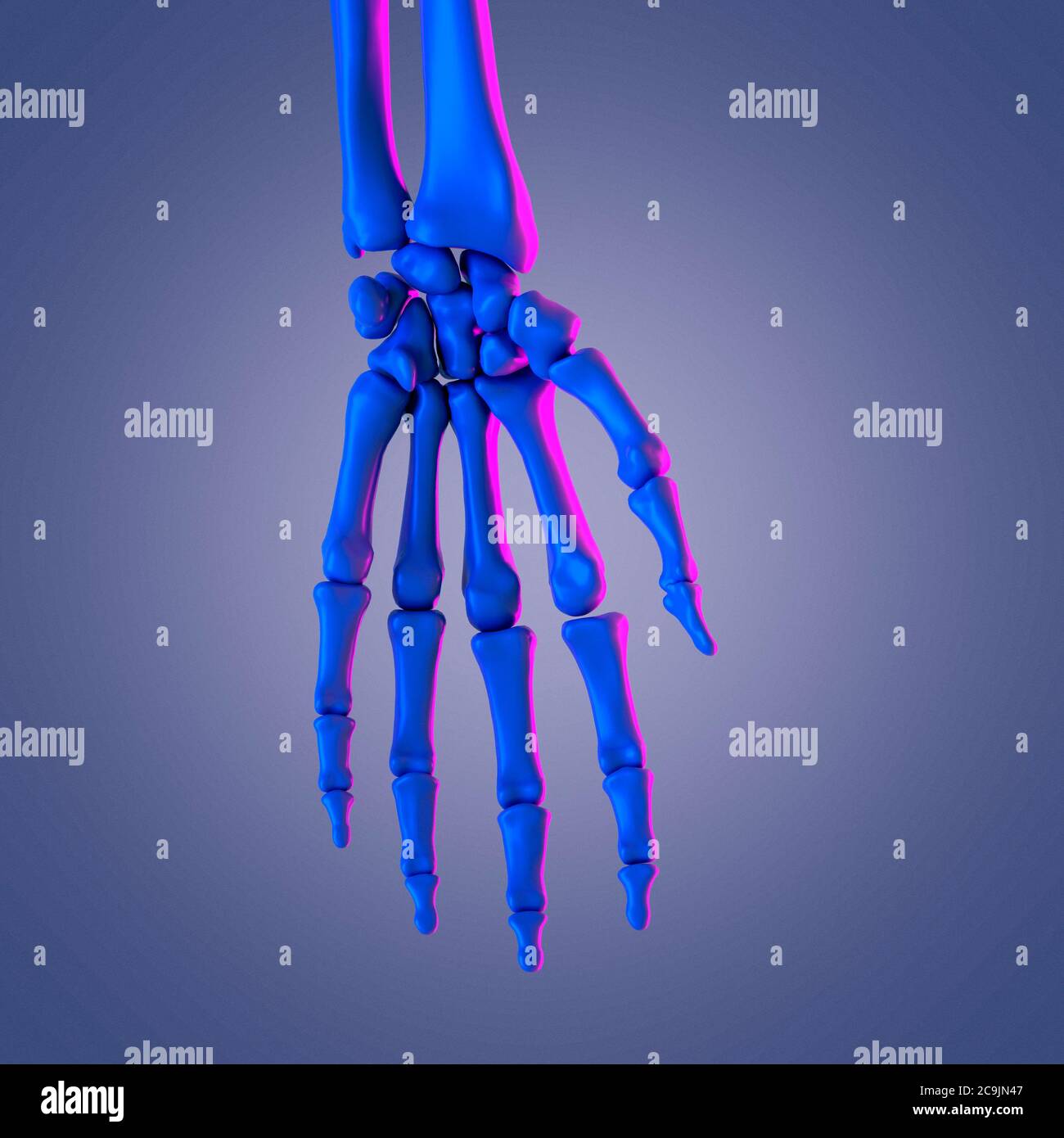 Hand bones, computer illustration Stock Photo - Alamy
