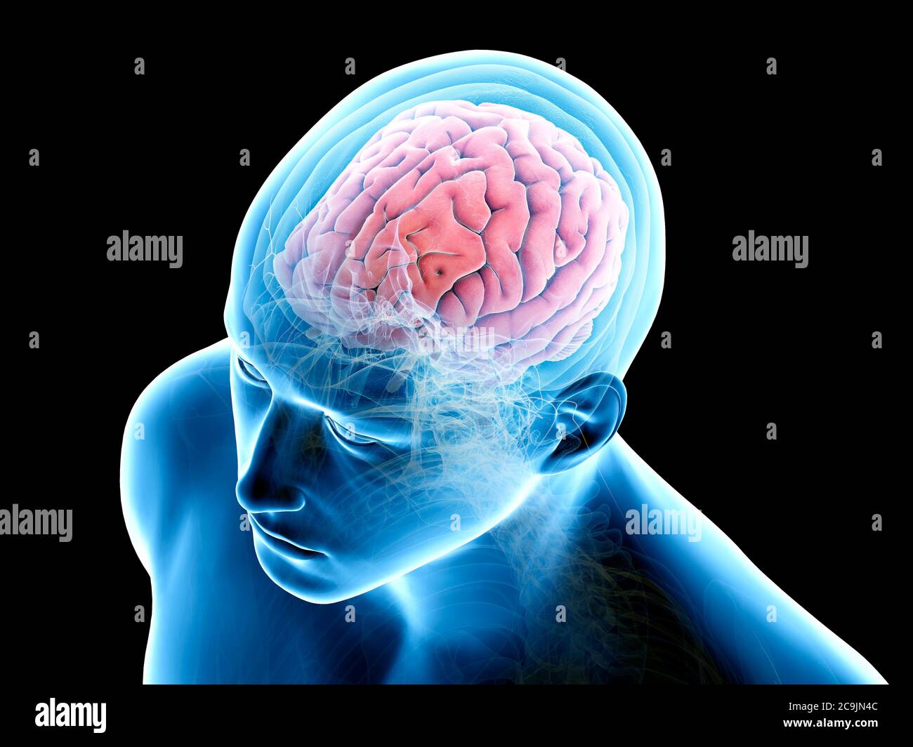 Human brain, computer illustration Stock Photo - Alamy