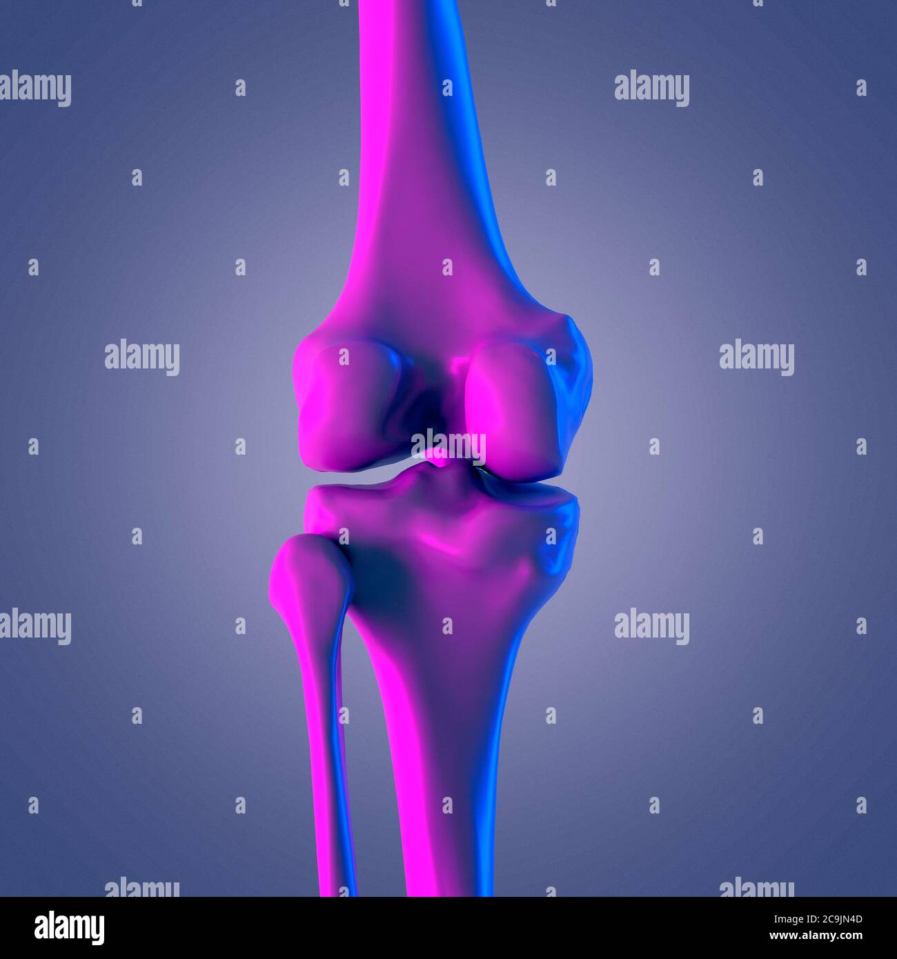 Knee joint, computer illustration Stock Photo - Alamy