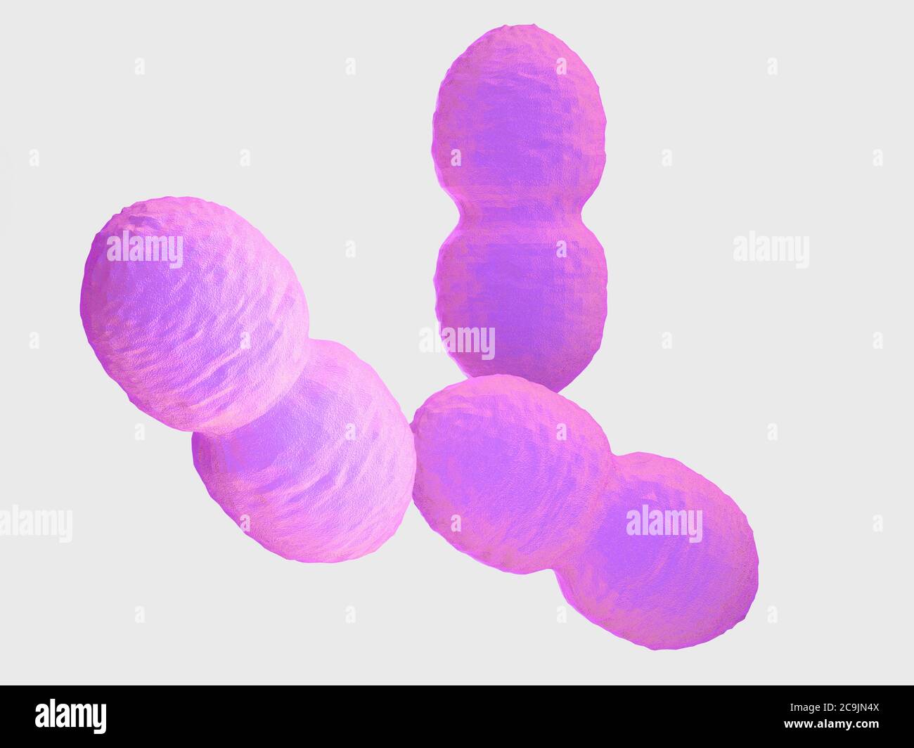 Enterococcus bacteria hi-res stock photography and images - Alamy