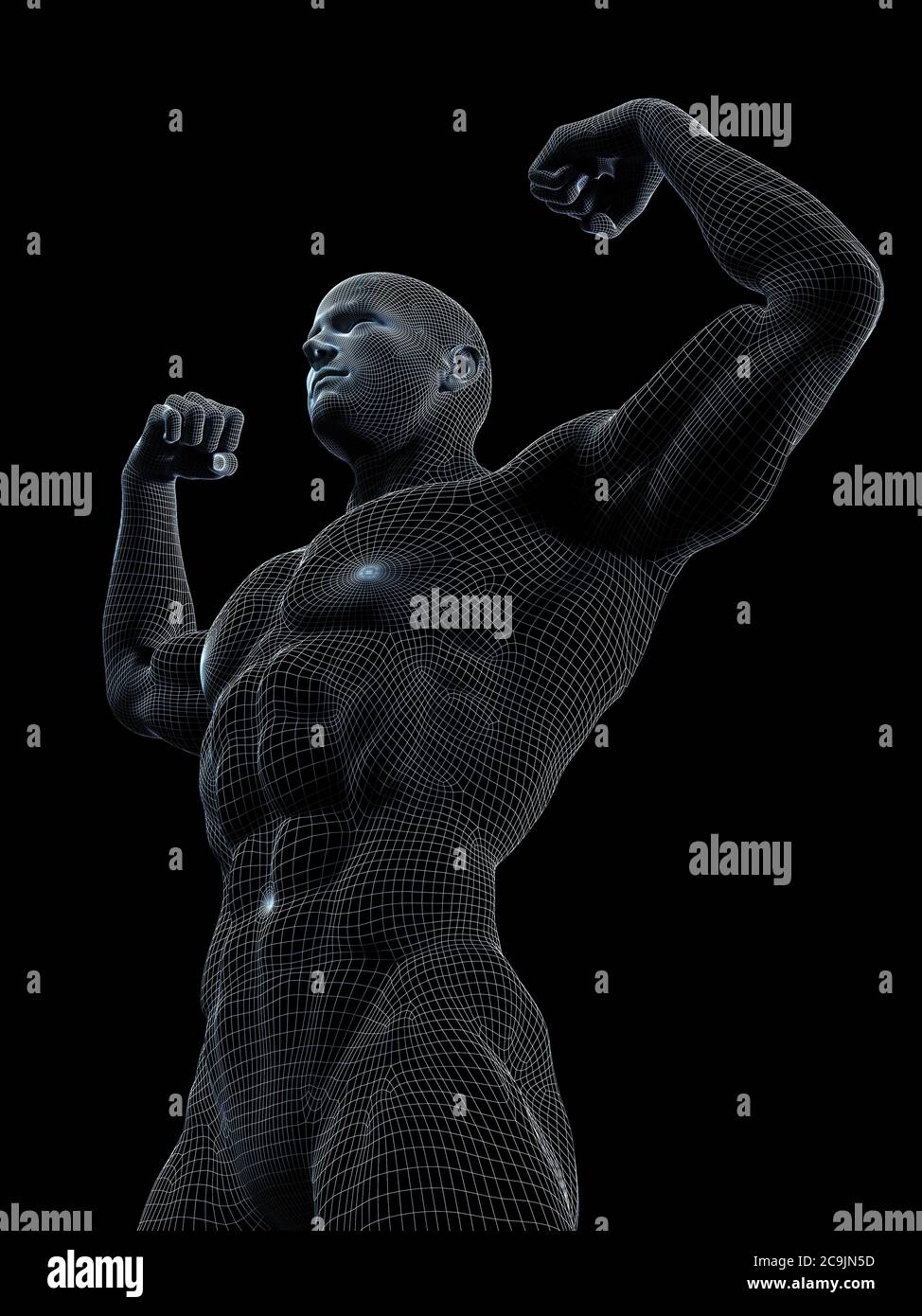 Male anatomy, computer illustration Stock Photo - Alamy