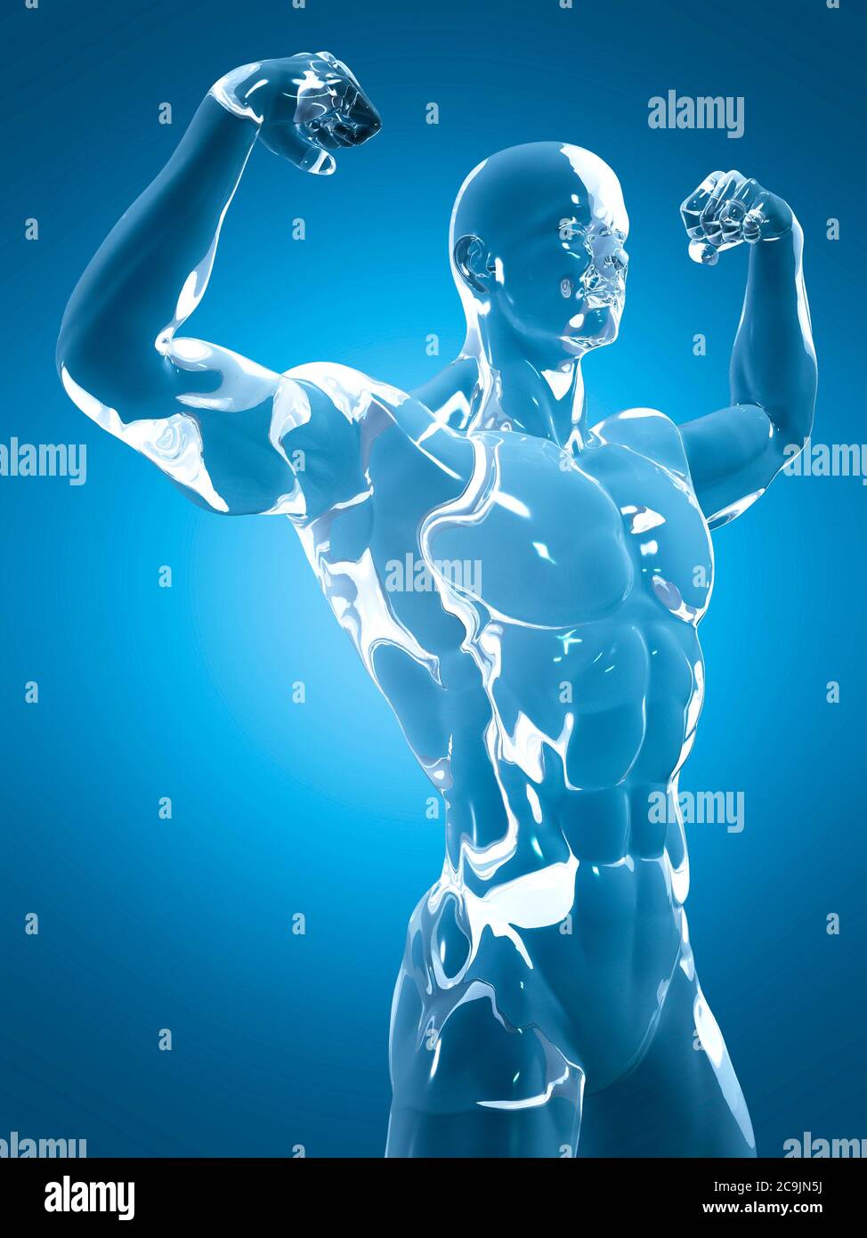 Male anatomy, computer illustration Stock Photo - Alamy