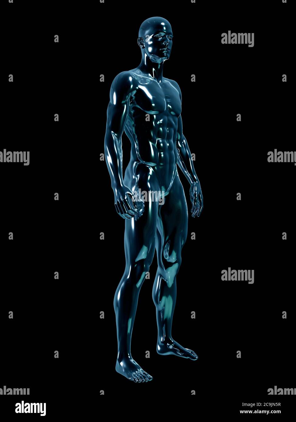 Male anatomy, computer illustration Stock Photo - Alamy