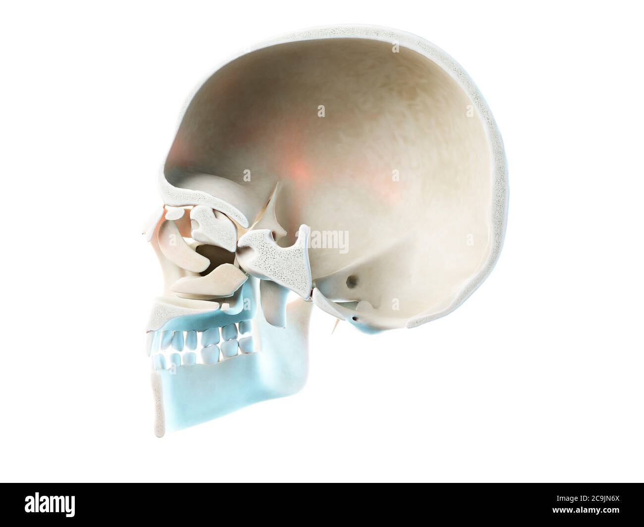 Skull computer artwork Cut Out Stock Images & Pictures - Alamy