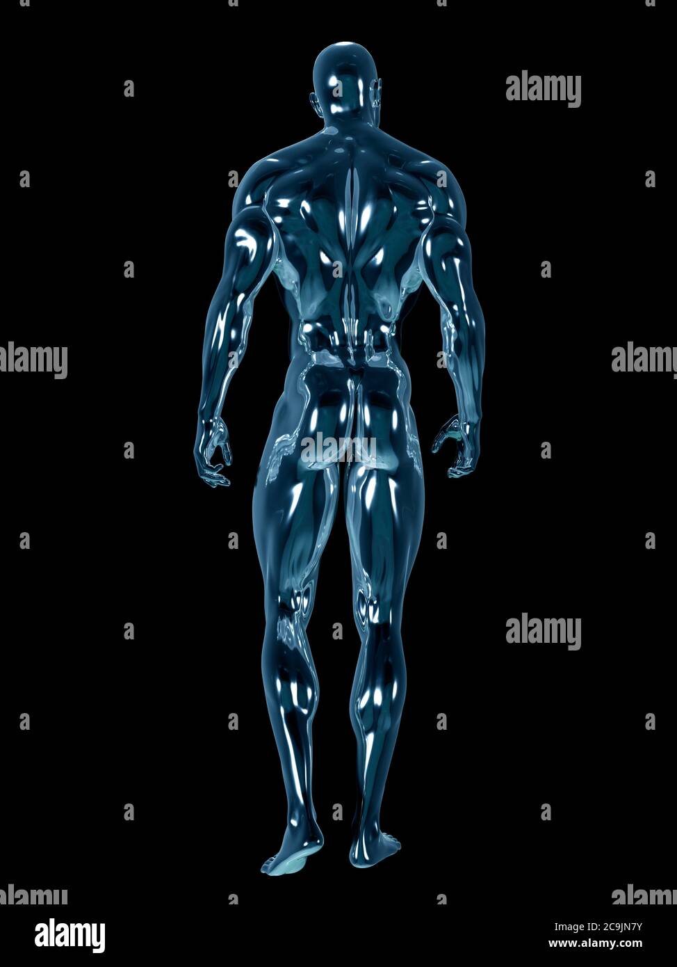 Male anatomy, computer illustration Stock Photo - Alamy