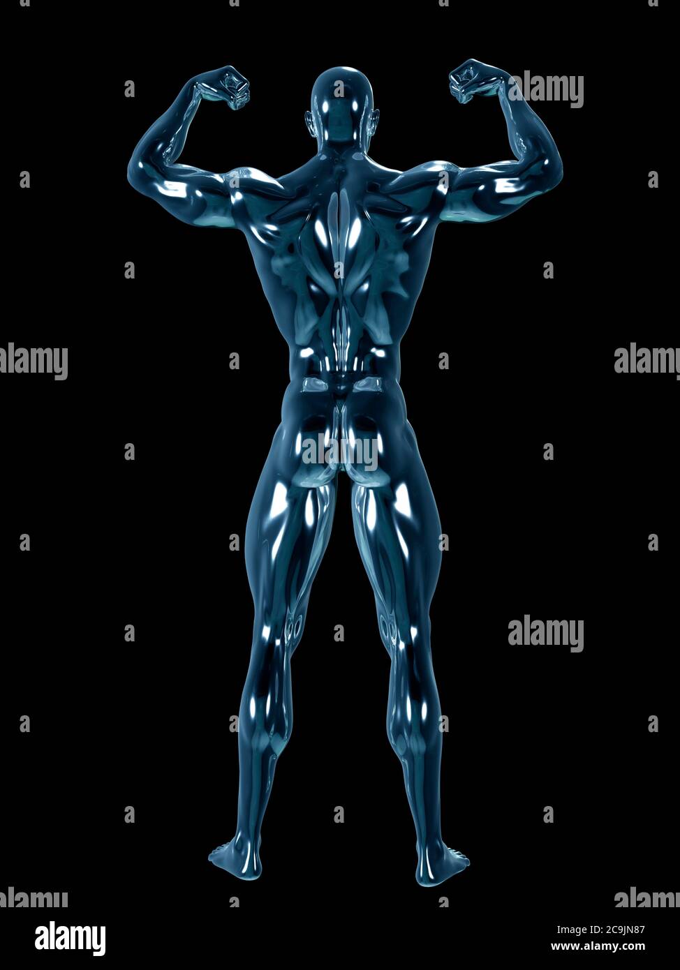 Male anatomy, computer illustration Stock Photo - Alamy