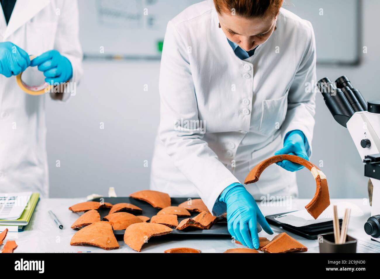 Archaeologists reconstructing broken pottery in laboratory Stock Photo ...