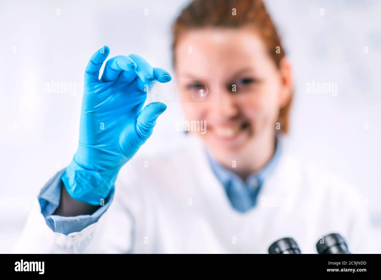 Archaeologist looking at ancient tooth root microscope slide in ...