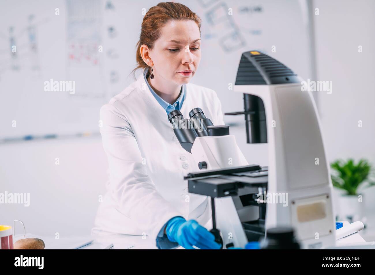 Portrait of young female archaeologist with microscope Stock Photo - Alamy