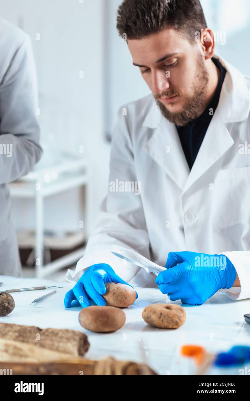 Archaeologist analyzing ancient artefacts, loom weight or fishing net ...