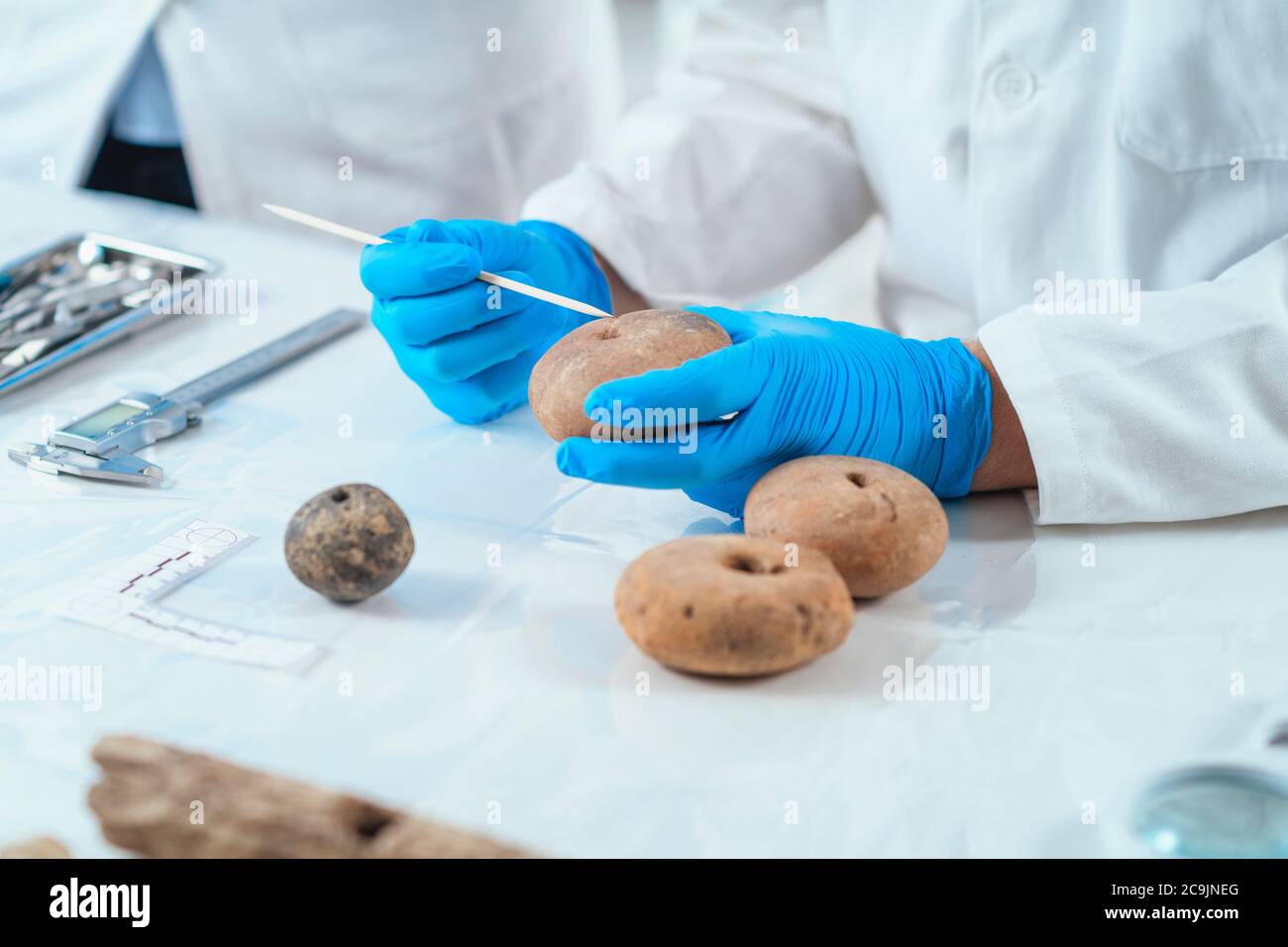 Archaeologist analyzing ancient artefacts, loom weight or fishing net ...