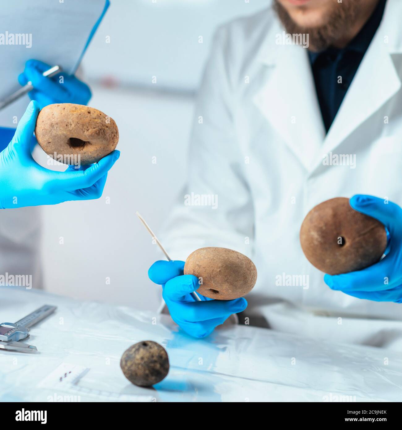 Archaeologist analyzing ancient artefacts, loom weight or fishing net ...