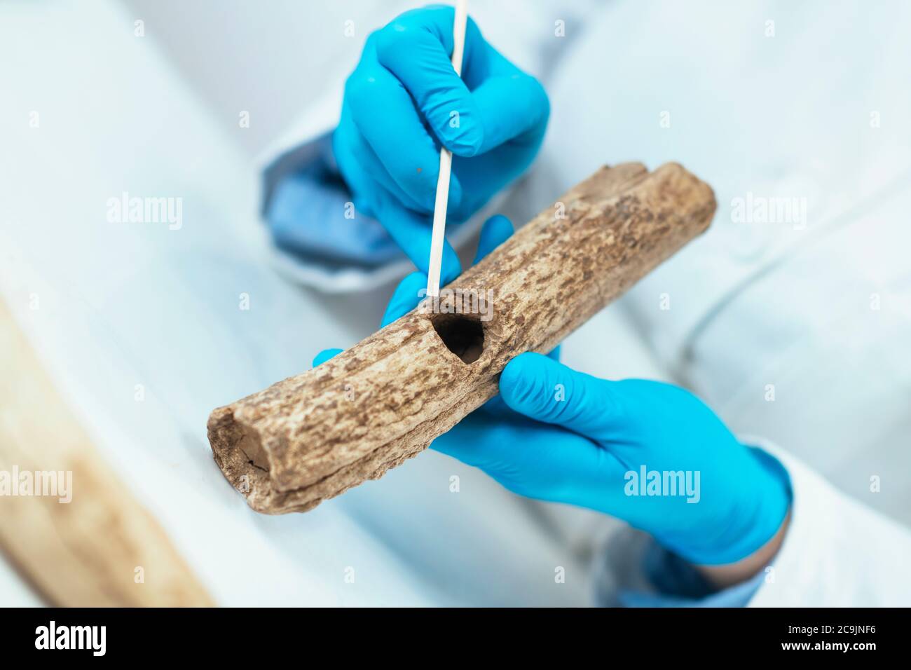 Archaeology researchers in laboratory reconstruct ancient tools Stock ...