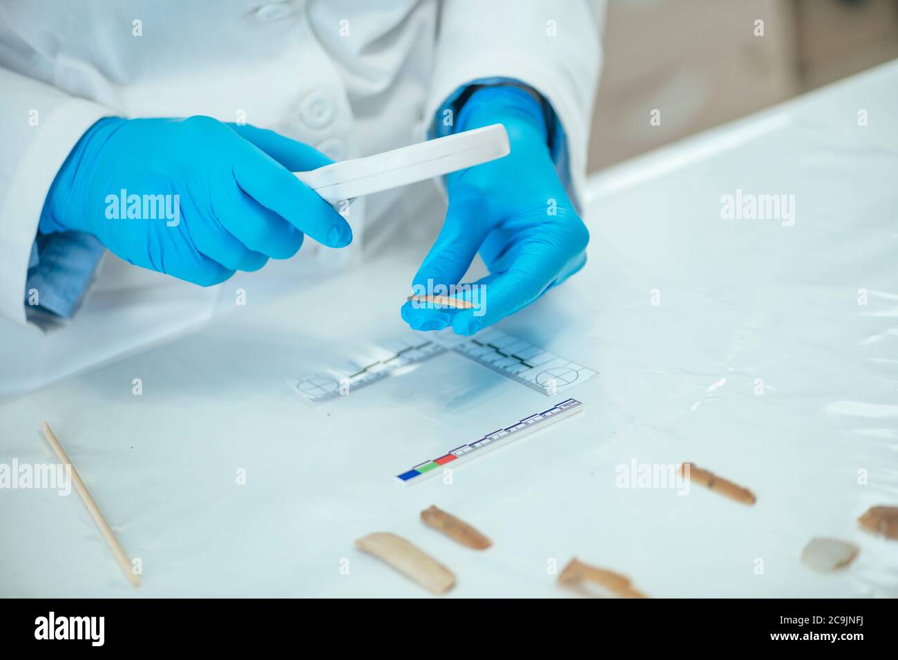 Lithic analysis hi-res stock photography and images - Alamy