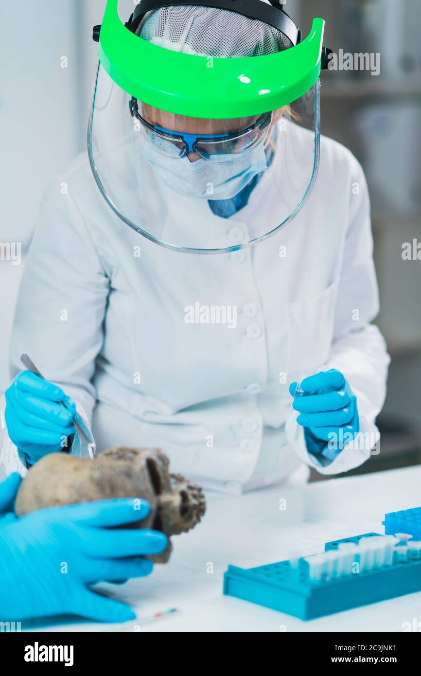 Young female bioarchaeologist analyzing human osteological material in ...