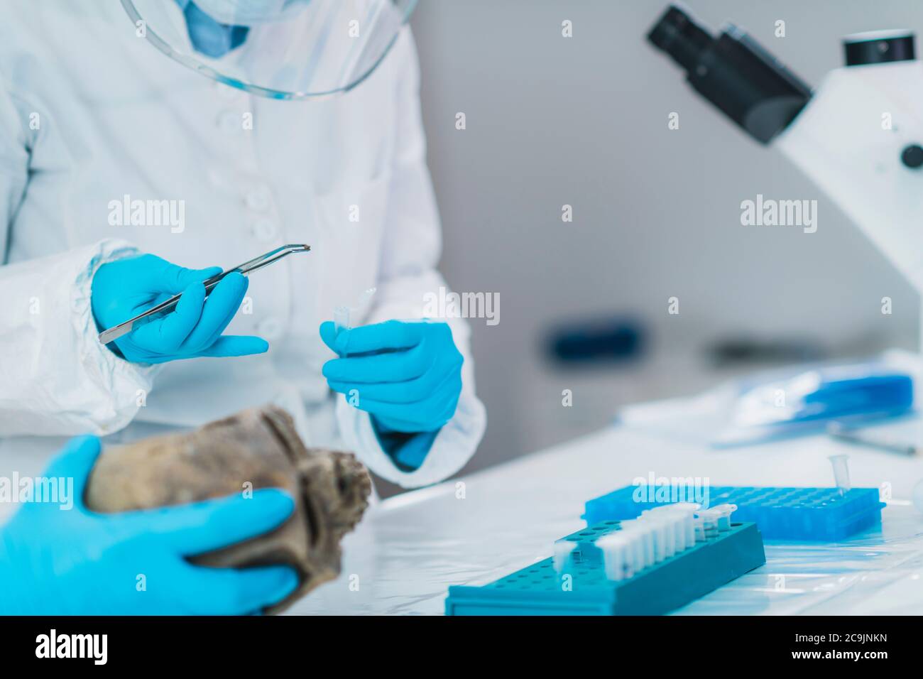 Bioarcheology. Archaeologist analyzing human skull in DNA archaeology ...