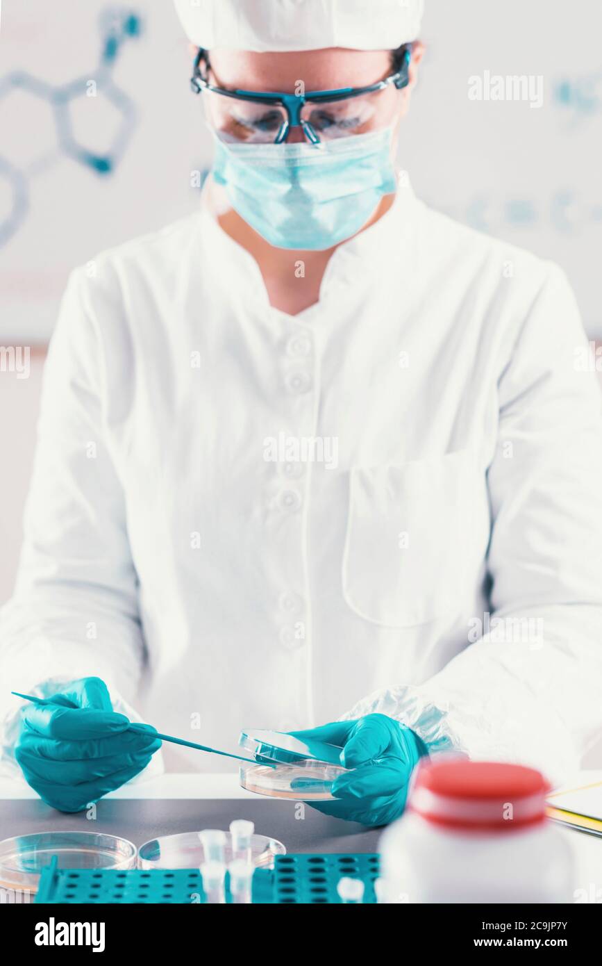 Microbiological test experiment in laboratory hi-res stock photography ...