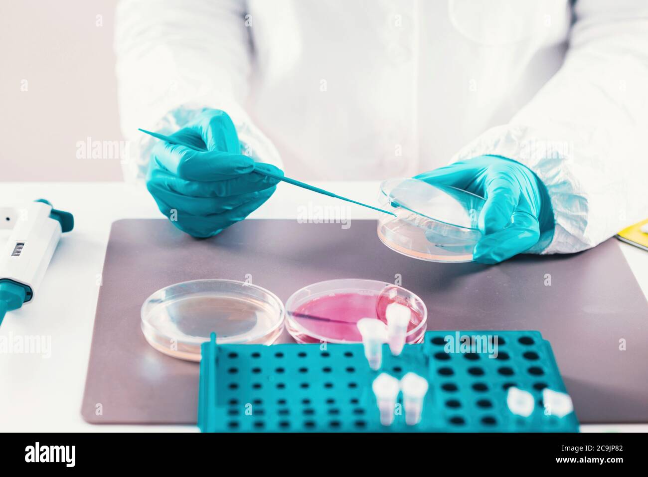 Microbiological test experiment in laboratory hi-res stock photography ...