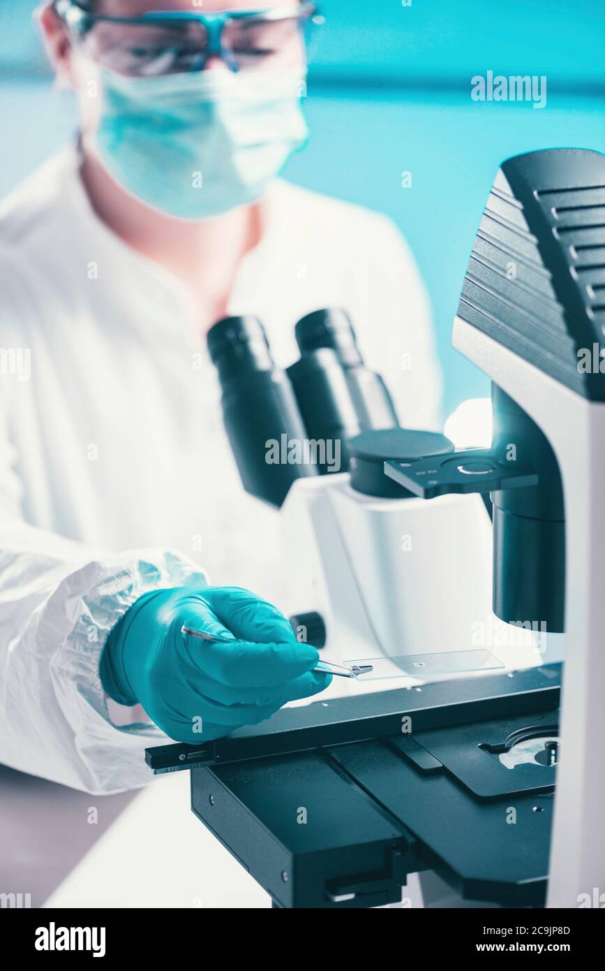 Examining bacterial sample under microscope Stock Photo - Alamy
