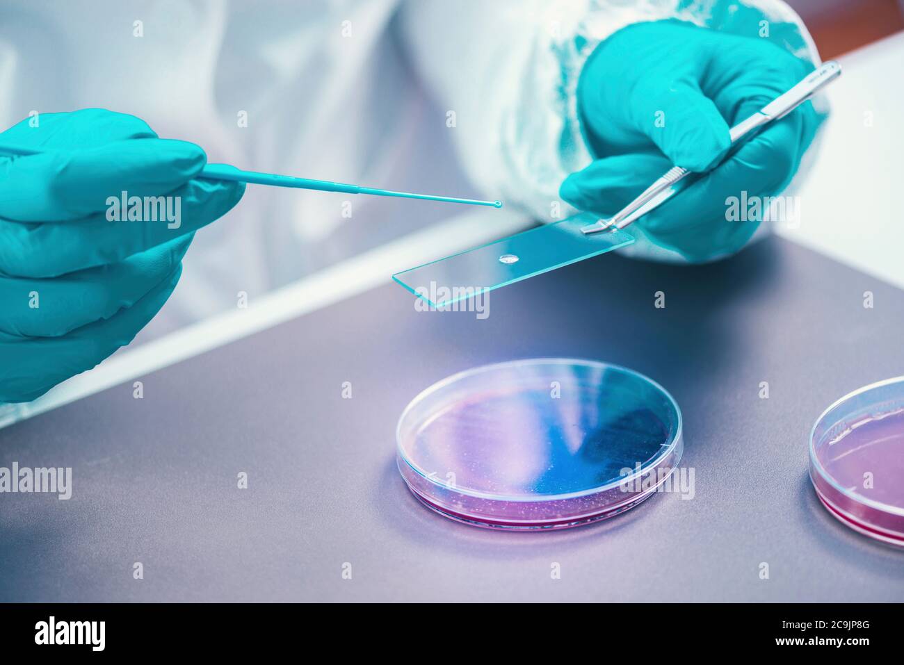 Microbiologist taking bacterial sample Stock Photo - Alamy