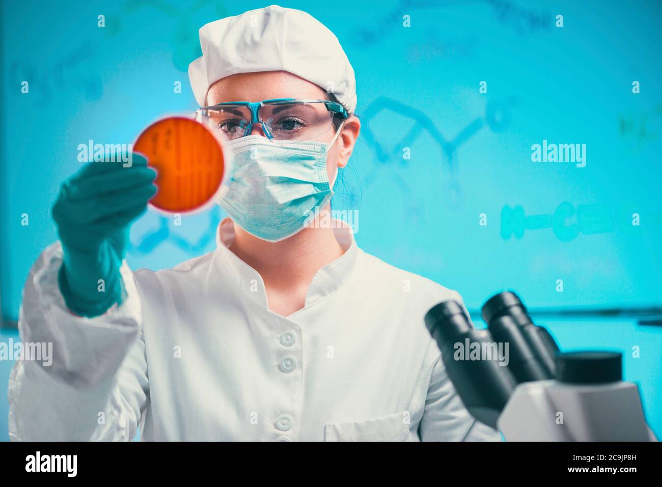 Scientist observing petri dish hi-res stock photography and images - Alamy