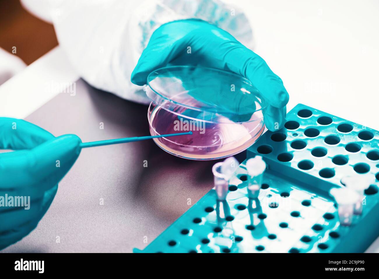Microbiology. Technician working with bacteria strains Stock Photo - Alamy