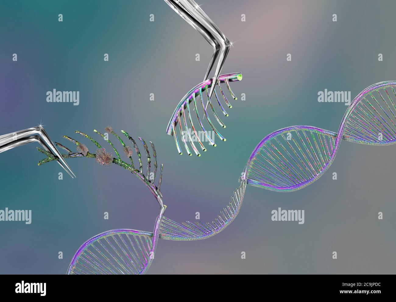 Genetic engineering, conceptual illustration Stock Photo - Alamy