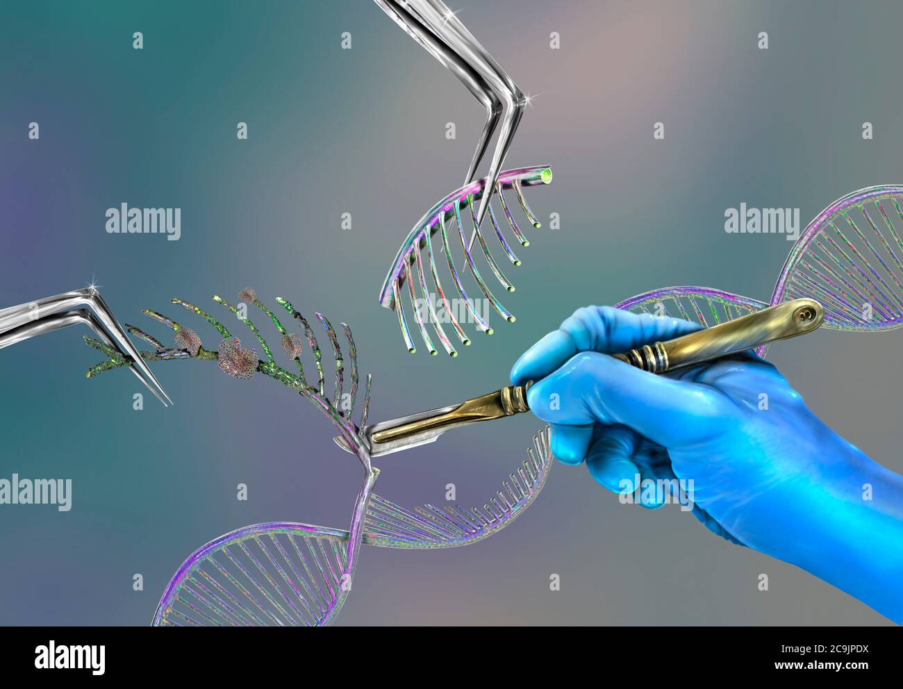 Genetic engineering, conceptual illustration Stock Photo - Alamy