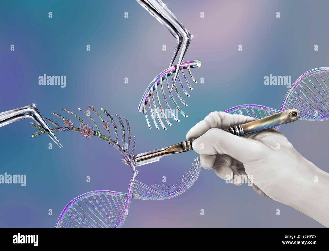 Genetic engineering, conceptual illustration Stock Photo - Alamy