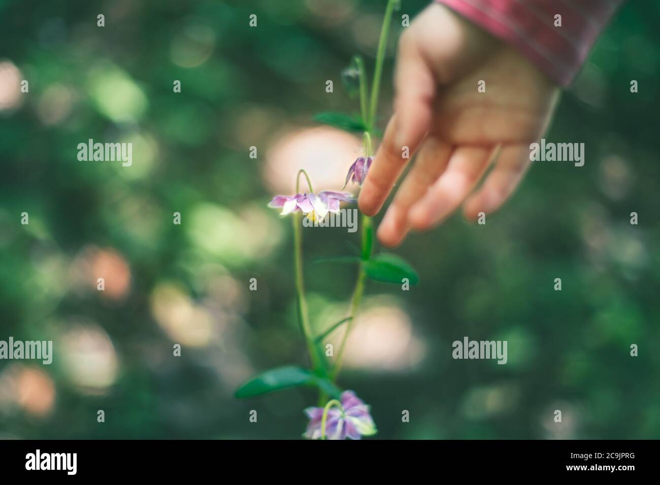 Unity tender hi-res stock photography and images - Alamy