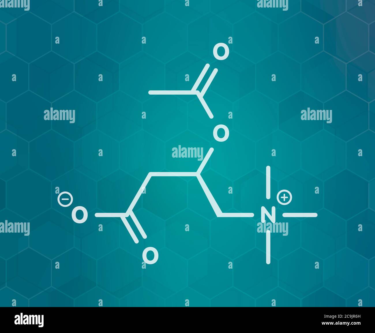 Acetylcarnitine (ALCAR) nutritional supplement molecule. White skeletal ...