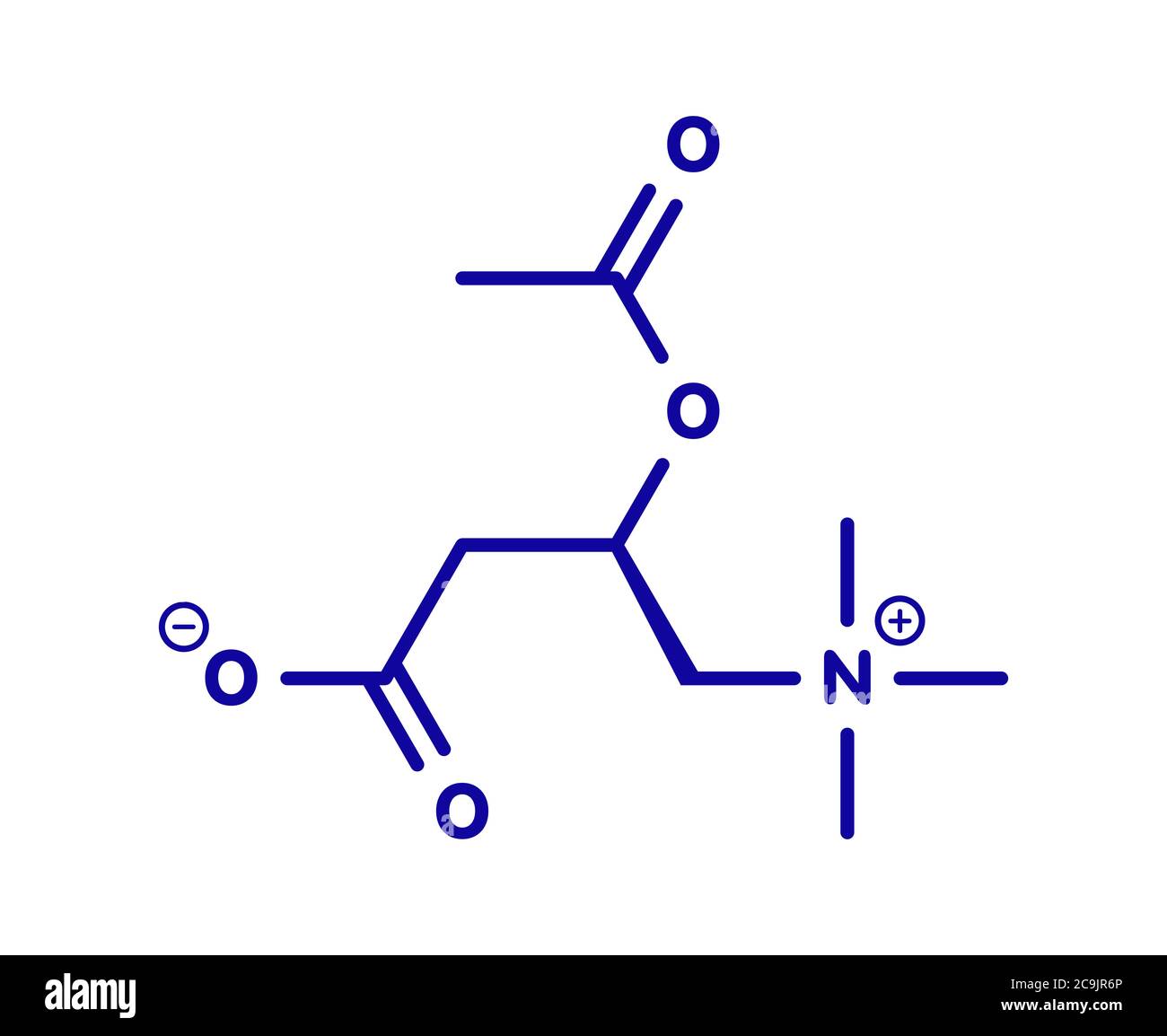 Acetylcarnitine (ALCAR) nutritional supplement molecule. Blue skeletal ...