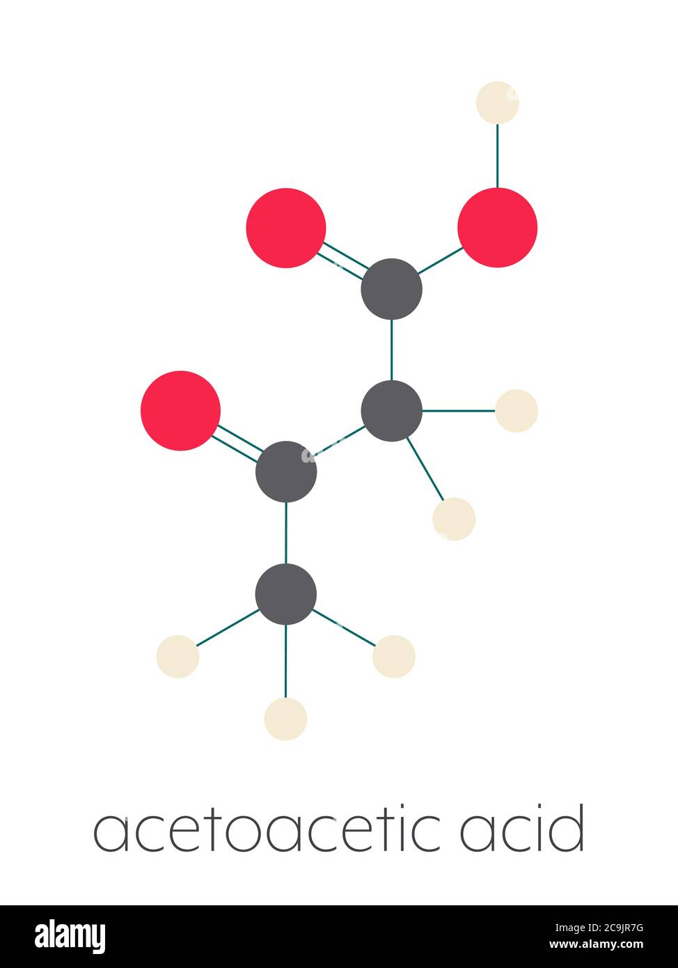 Ketone body (acetoacetic acid, diacetic acid) molecule. Stylized ...