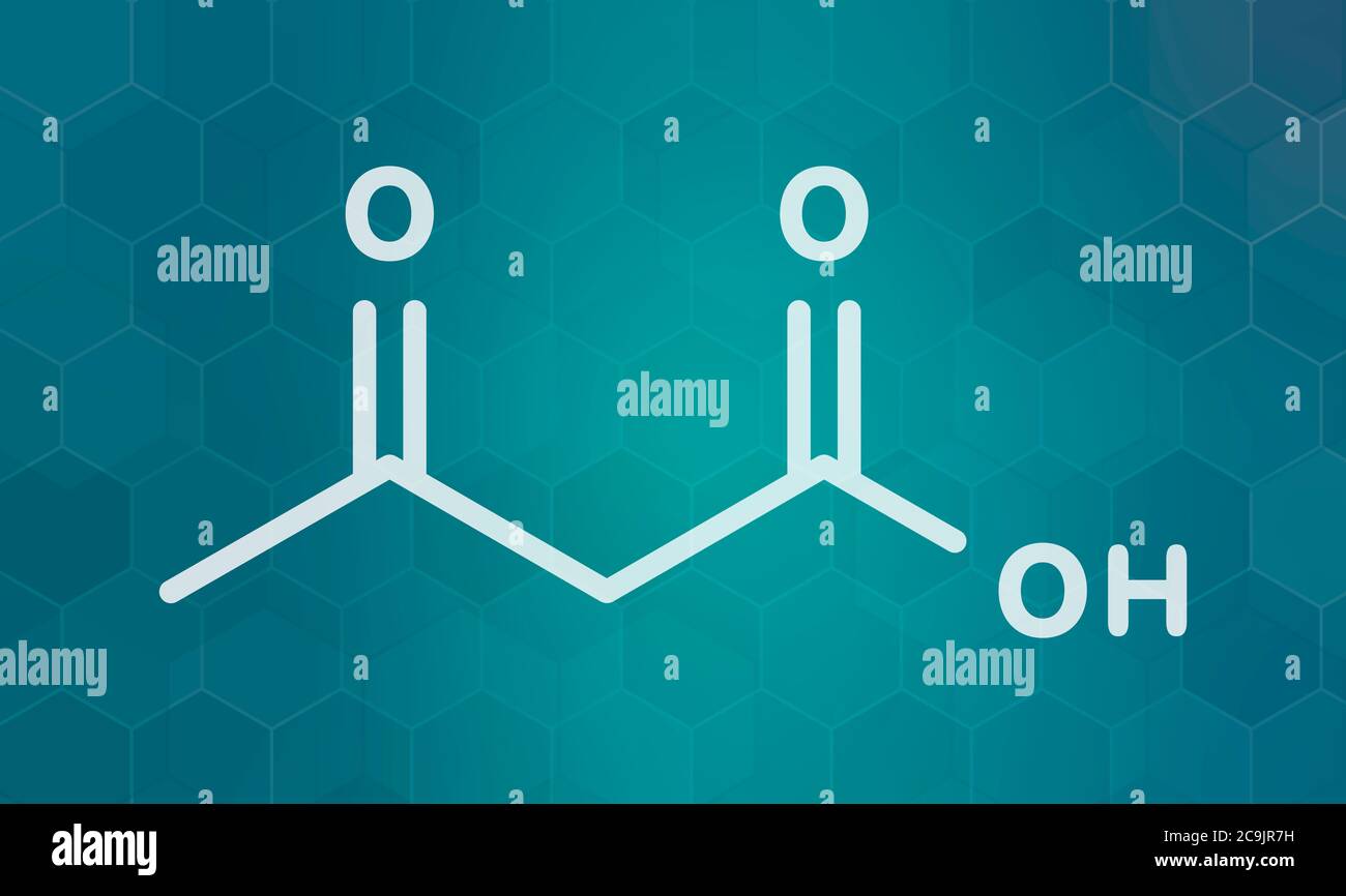 Ketone body (acetoacetic acid, diacetic acid) molecule. White skeletal ...